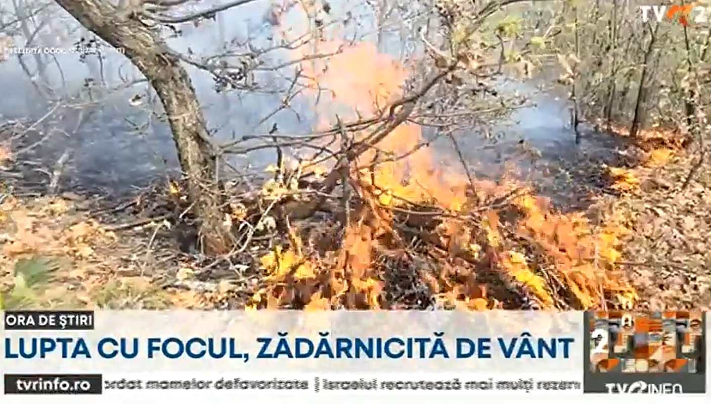Lupta cu focul, zădărnicită de vânt. Sute de hectare de vegetație ...