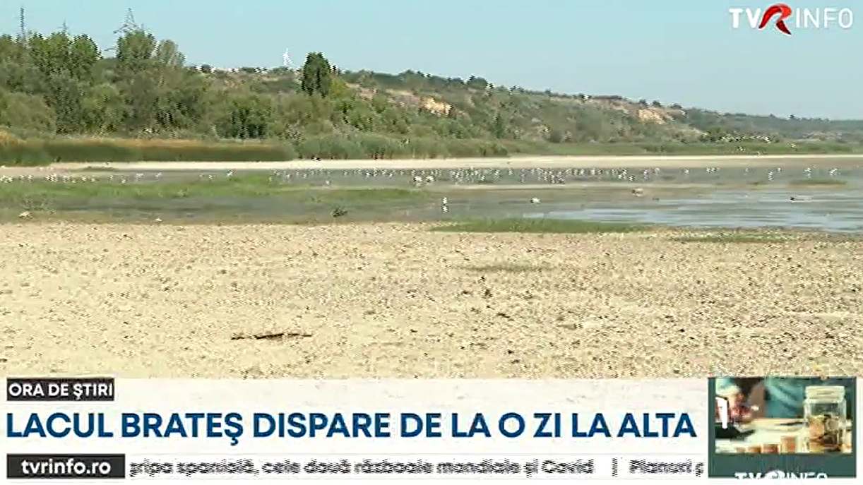 Efecte dramatice ale secetei: Lacul Brateș din județul Galați dispare ...