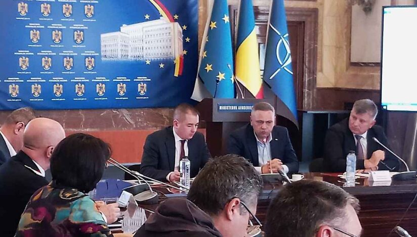 Preşedintele ANSVSA: Măsuri de prevenire a febrei aftoase. Transporturi ...