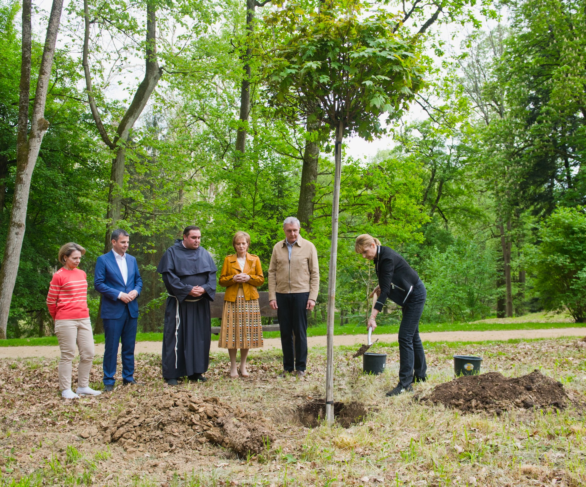Copac plantat la Castelul Săvârşin în memoria Suveranului Pontif | Site ...