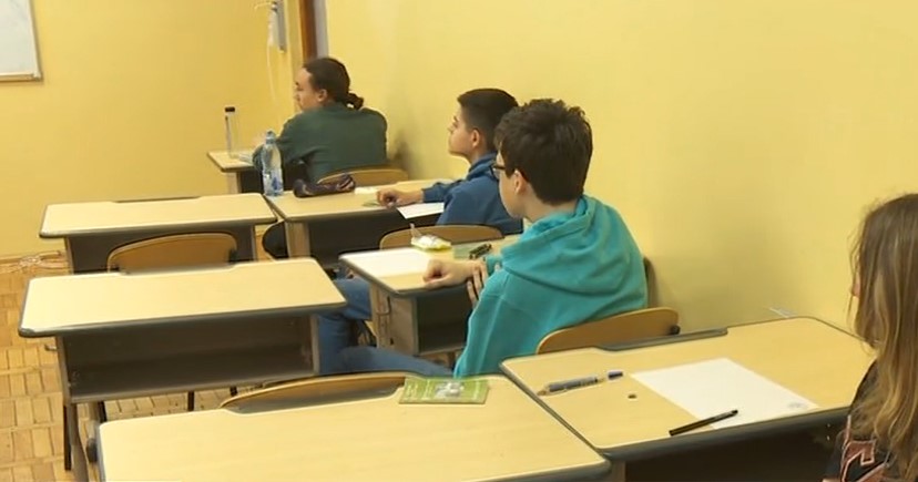 Model francez sau italian. Ministrul Daniel David, explicații legate de ...