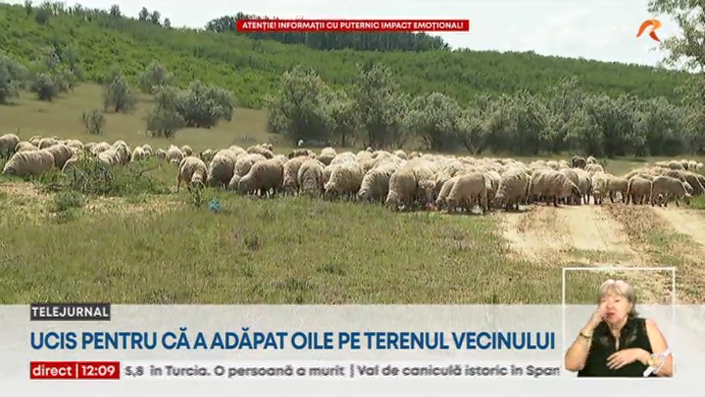 Un cioban a fost omorât în bătaie de proprietarul unui teren, pentru că ...