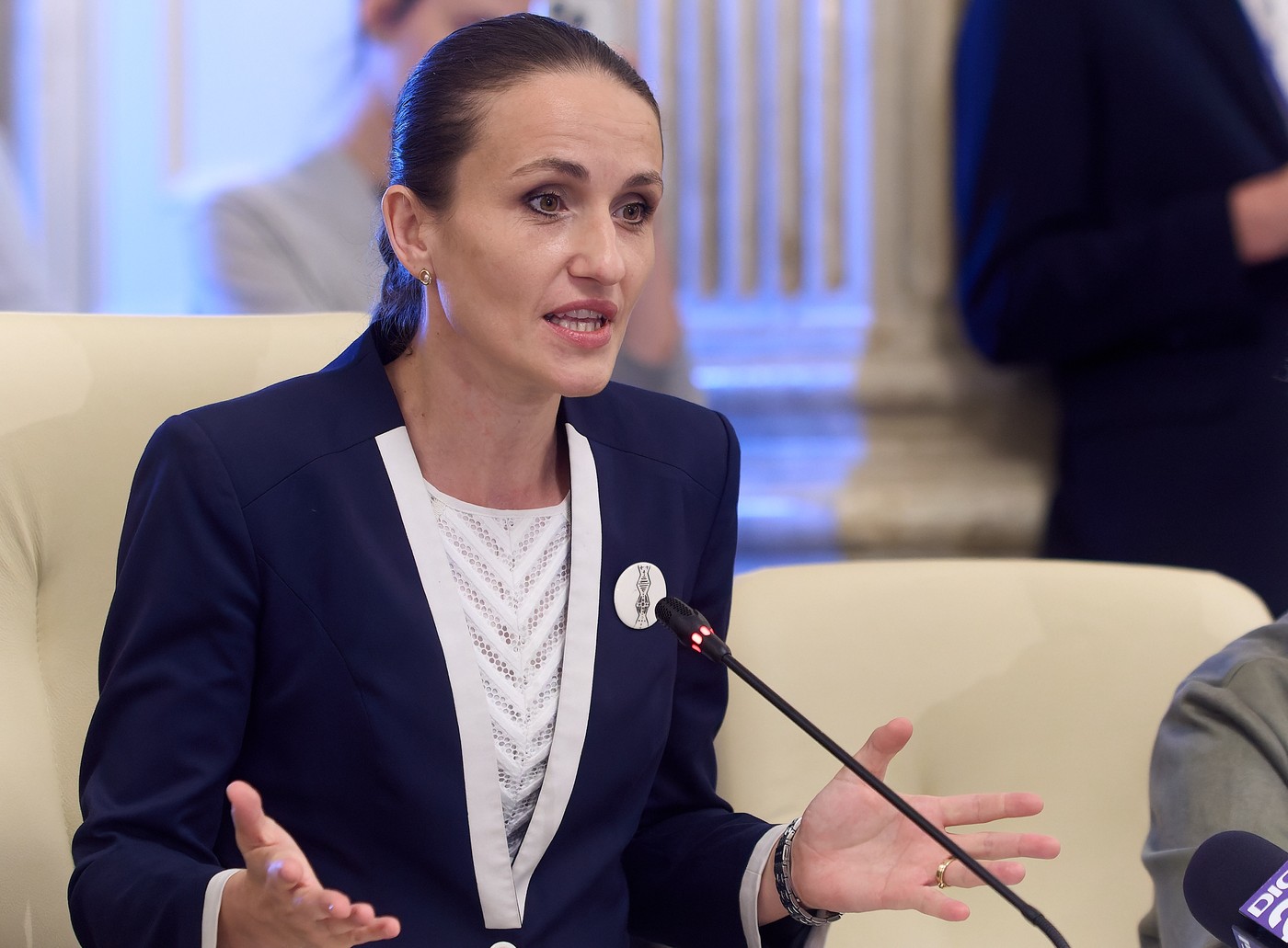 MAE: “România nu este şi nu poate fi reprezentată de politicieni care ...